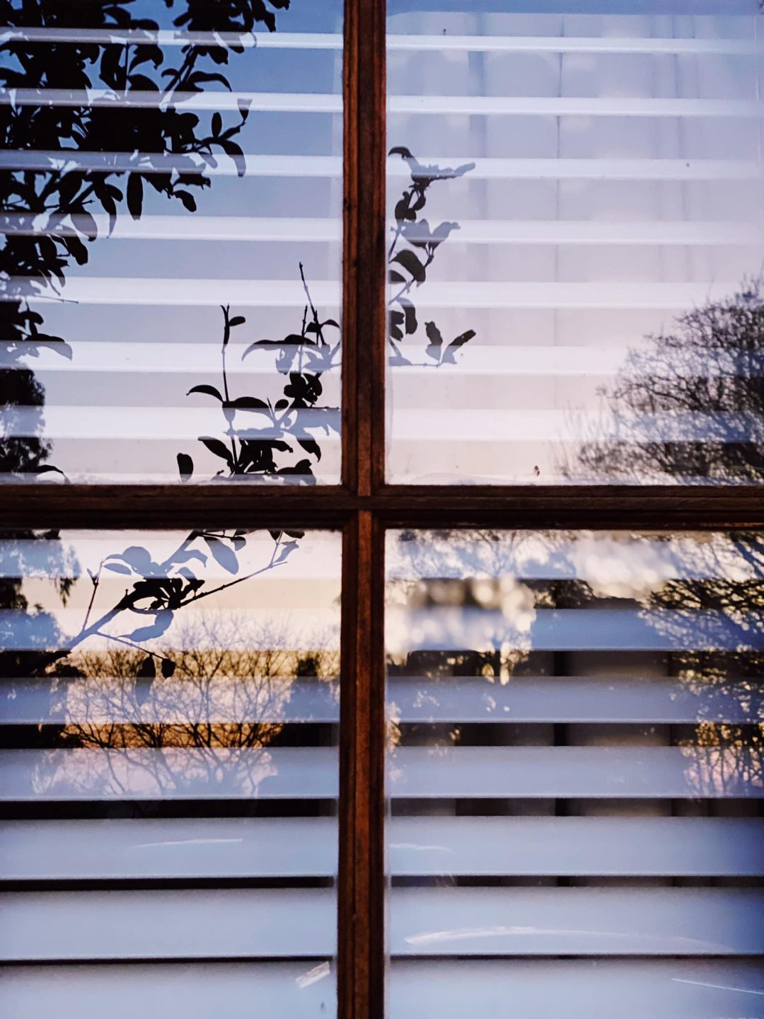 Inspiration Gallery – Renes Blinds